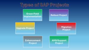 Exploring the Different Types of SAP Projects: A Comprehensive Guide