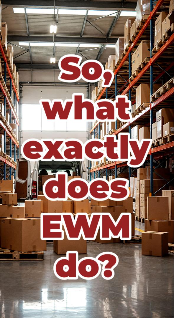 What is SAP S/4HANA EWM? – A Beginner’s Guide